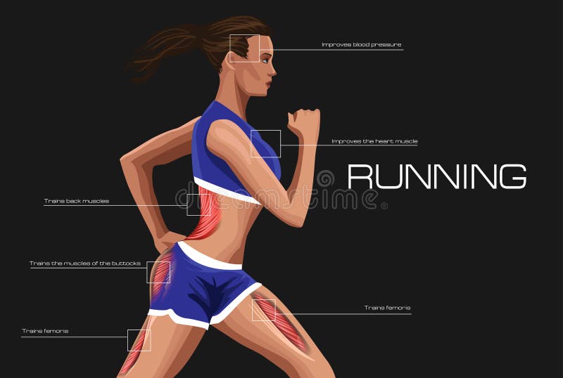 Running Woman. Annotation Anatomical Muscle Training. Stock ...