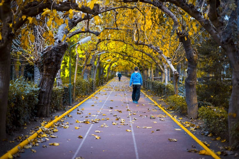 Runway in fall editorial stock image. Image of defocused - 64790389