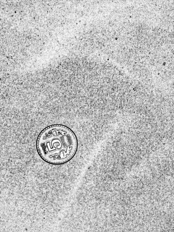 Rupes stock image. Image of rupess, rupes, coin, five - 170895453