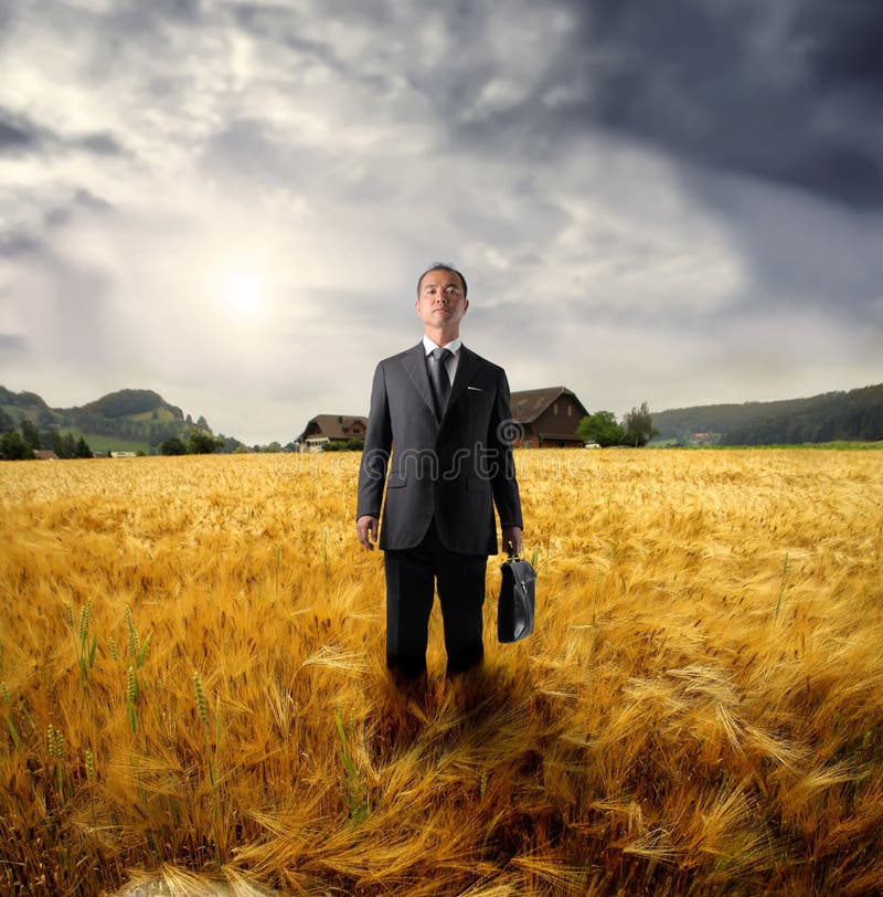 Rural stock image. Image of industry, cloudy, country - 10916113