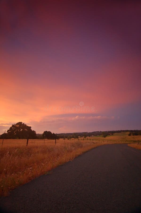 Rural afternoon stock image. Image of green, growing, rural - 931257