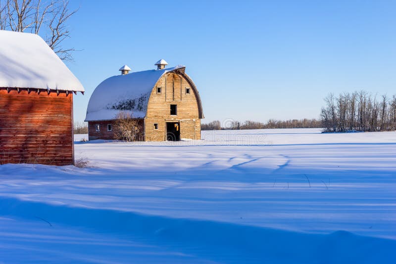 Farm Barn in Winter, Rural Alberta Stock Photo - Image of barn, rural ...