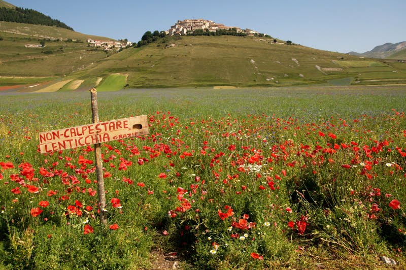 Rural area stock photo. Image of ambient, europe, mountains - 20267796