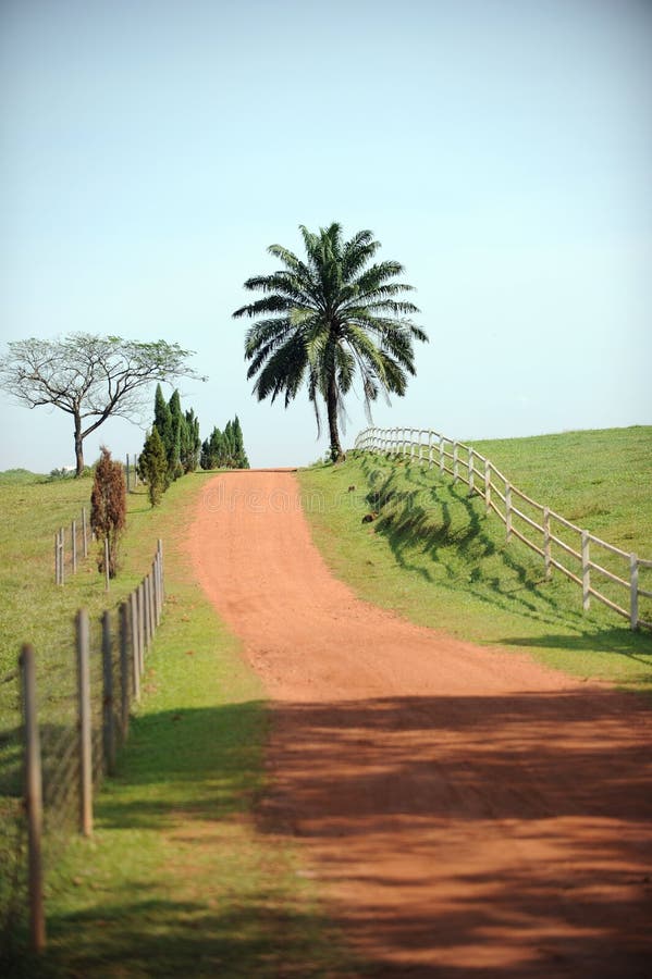 Rural area stock photo. Image of road, rural, outdoor - 23003190