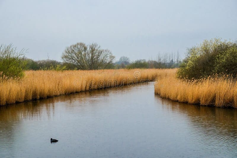 Rural Area in Copenhagen, Denmark Stock Photo - Image of rural, outdoor ...