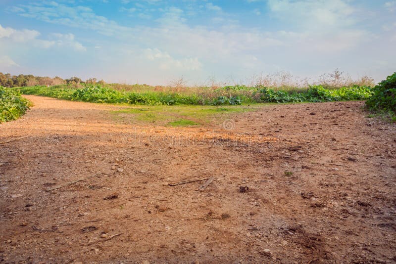 Rural area dirt road stock image. Image of field, empty - 64262975
