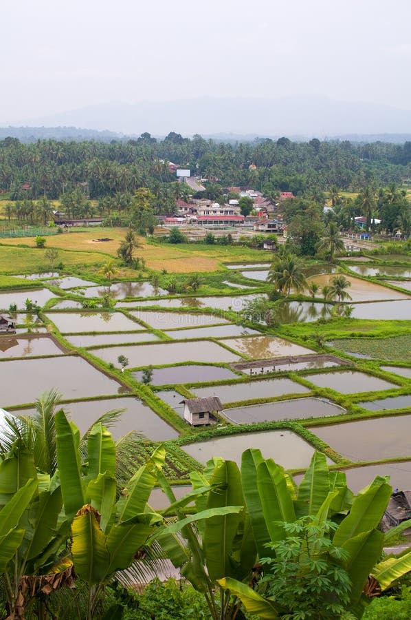 Rural area in west Sumatra stock image. Image of asian - 10414947