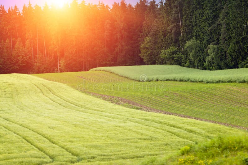 Rural Areas in Germany, Bavaria, with Brightly Green Fields and Trees ...