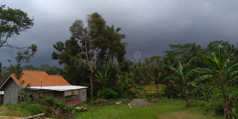 Rural Areas in Indonesia Which are Very Beautiful and Cool Stock Photo ...