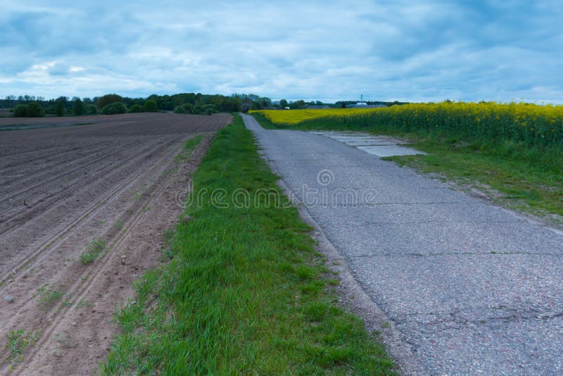 Rural Asphalt Road Near Fields in Springtime. Stock Photo - Image of ...