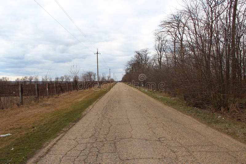 Rural Asphalt Road at the Spring Stock Photo - Image of scene, field ...