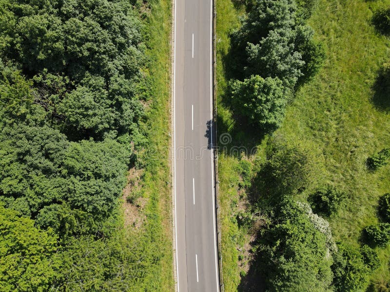 Rural Road with White Stripes between Trees and Grass in the Landscape ...