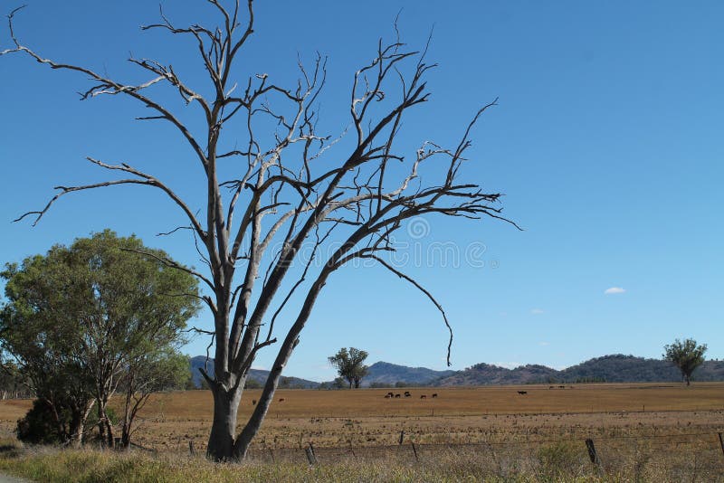 Rural Australia stock photo. Image of desert, australia - 37375866