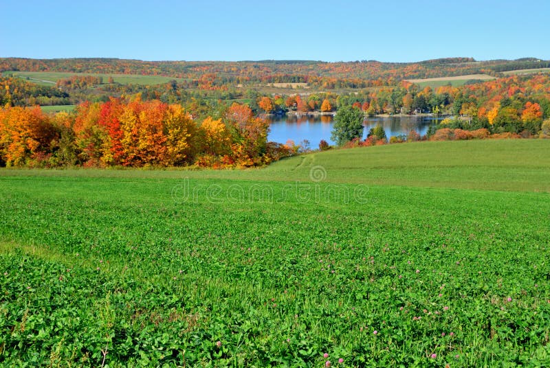 Rural Autumn Landscape stock image. Image of nature, beautiful - 12476501