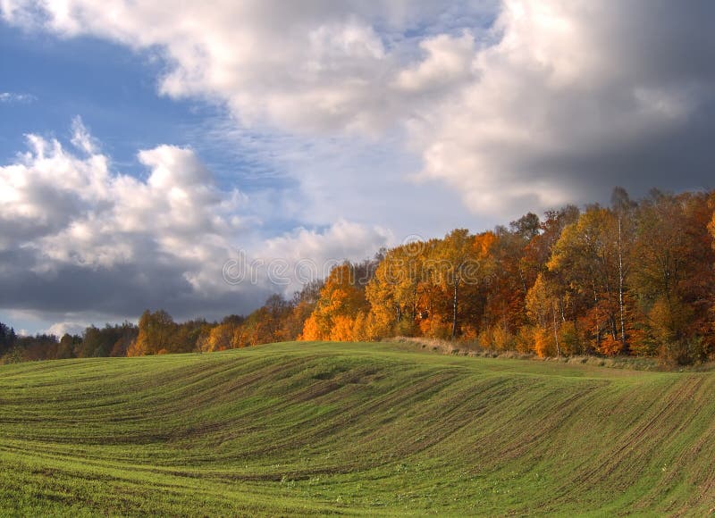 Rural autumn landscape stock photo. Image of pasture - 29794664