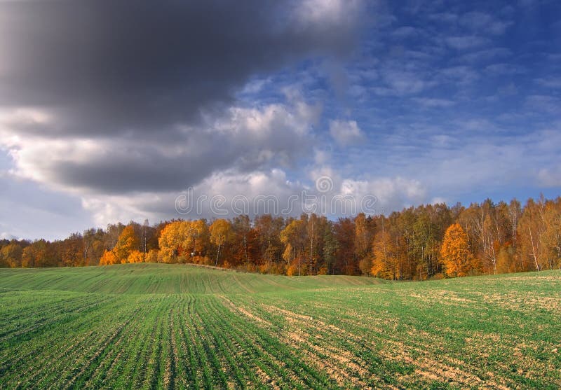Rural autumn landscape stock image. Image of sunny, farm - 29794697