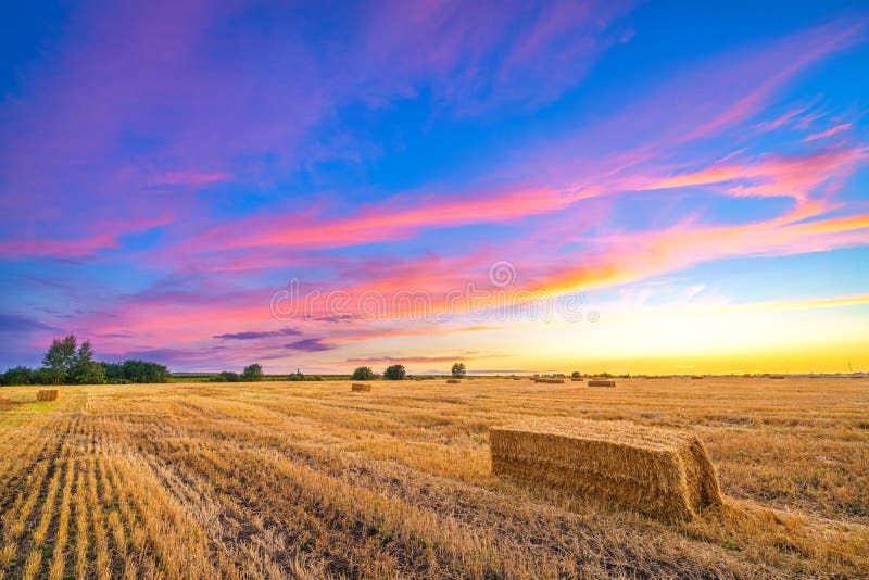 Rural Autumn Landscape at Sunset Stock Photo - Image of harvested ...