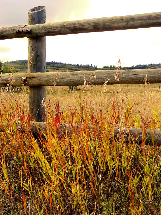 Rural autumn scene stock image. Image of view, rural - 26623013