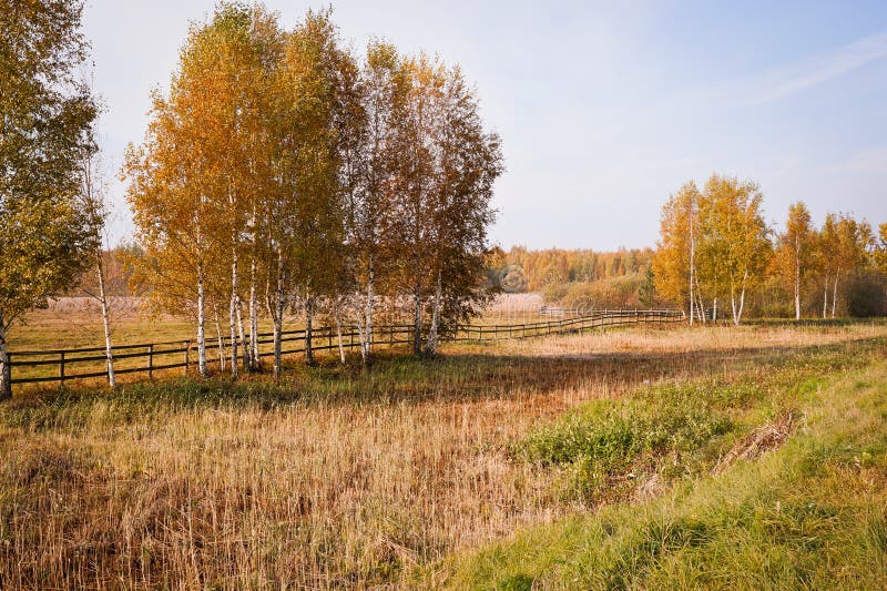 Rural scene after fall stock image. Image of amphitheater - 80902795