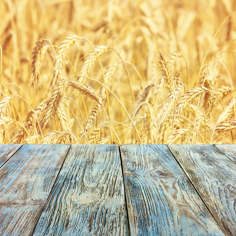 Rural Background, Template - Horizontal Surface of the Boards on the ...