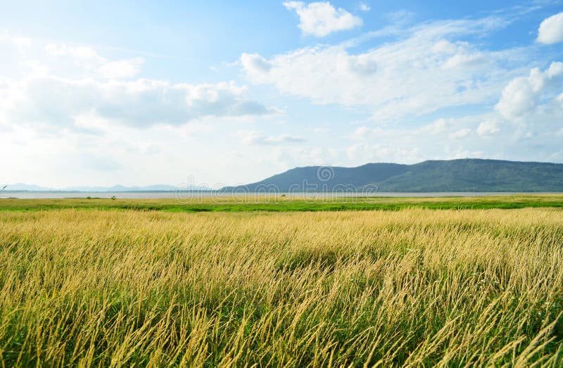 856,961 Beautiful Land Stock Photos - Free & Royalty-Free Stock Photos ...