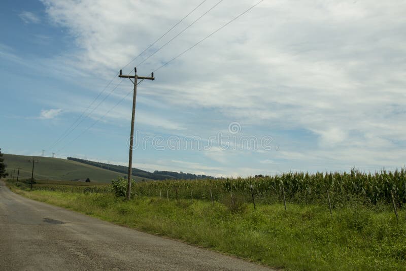 Bitumen Road Asphalt Seamless Texture Stock Photo - Image of road ...