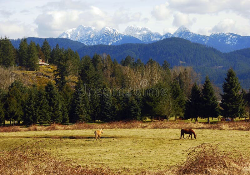 Rural Canadian Country stock photo. Image of canada, pitt - 12477506
