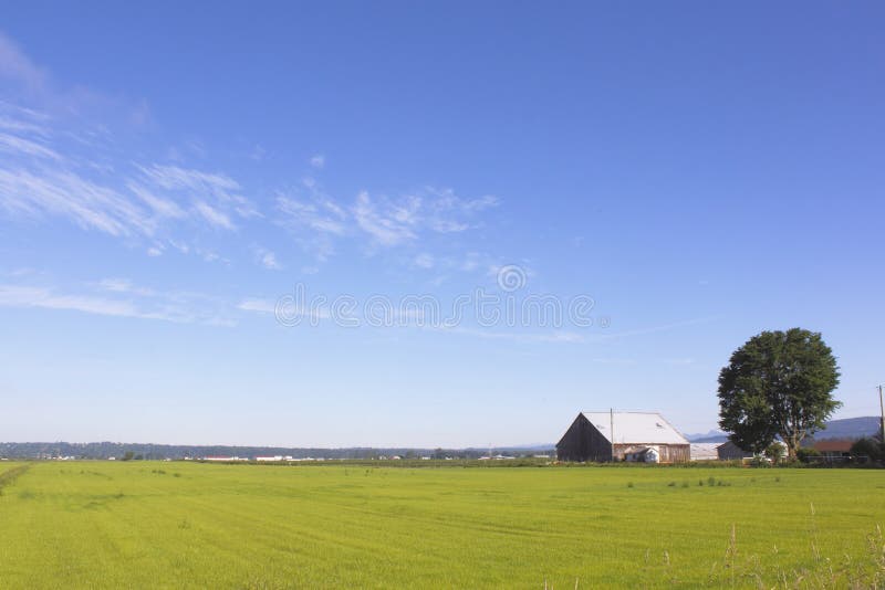 A Rural Canadian Homestead stock photo. Image of rural - 25468952