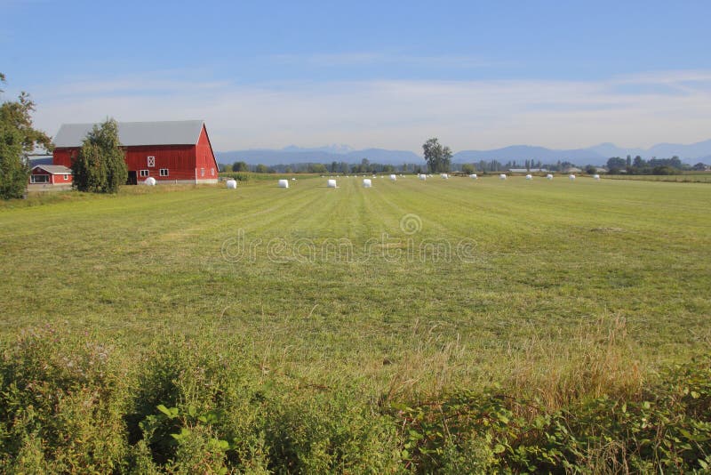 Canadian Barn and Silo stock image. Image of mainland - 27236387