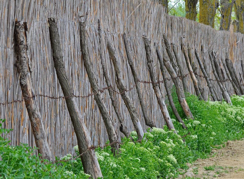 Rural cane fence stock image. Image of blooming, abstract - 54446057