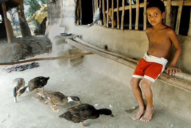 Rural Children in India editorial photography. Image of animal - 21681502