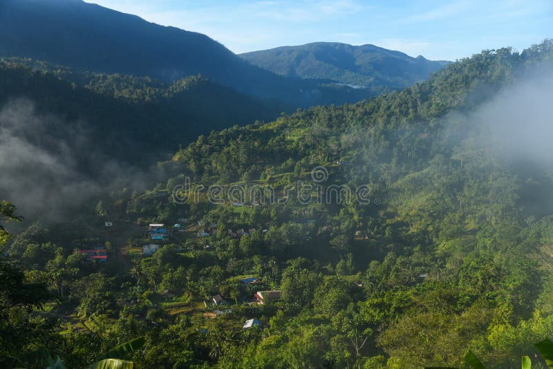 A Rural Comunity Deep in the Forest Stock Photo - Image of water, side ...