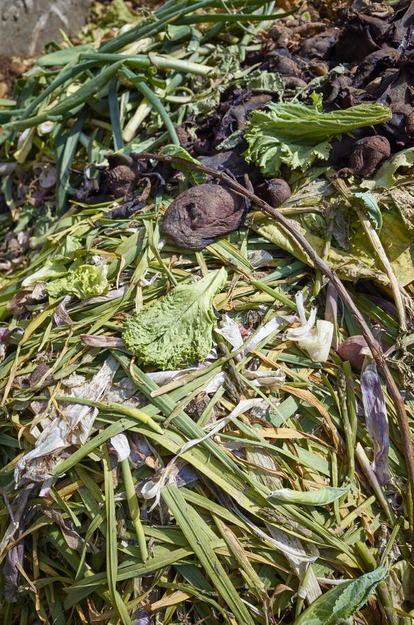Rural Compost with Vegetable Scraps Stock Photo - Image of organic ...