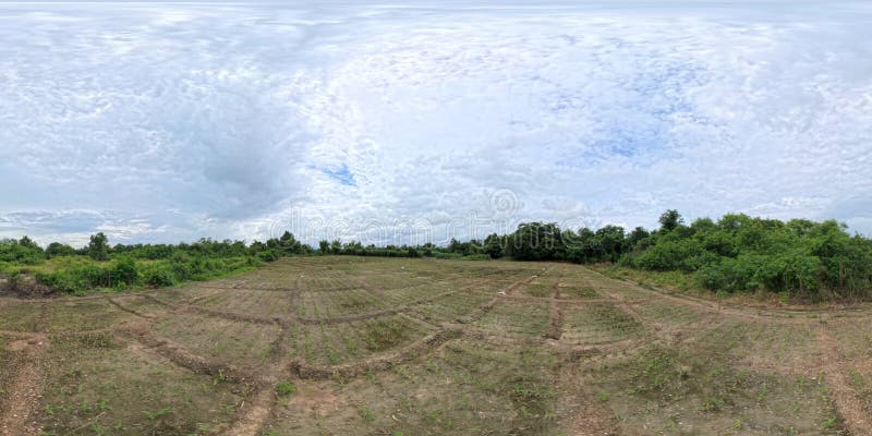 Rural Corn Fields in the Rainy Season Stock Photo - Image of farm ...