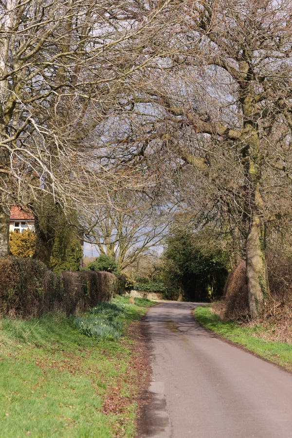 Country Lane stock image. Image of country, narrow, lane - 824677