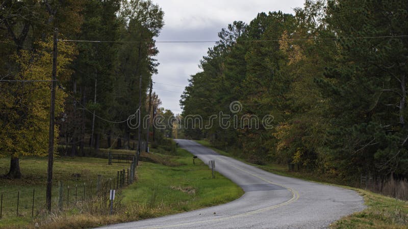 Rural country road stock image. Image of yellow, leaves - 234790117