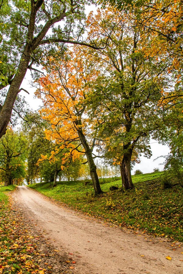 Rural Country Road Automn Fall View Stock Image - Image of sunlight ...