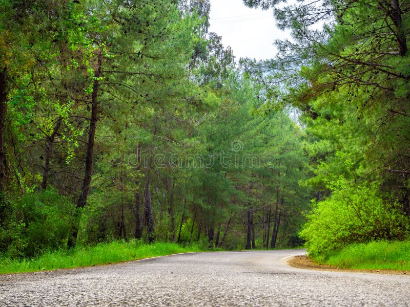 Rural Country Road stock photo. Image of adventure, foliage - 149864896