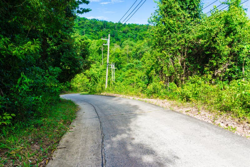 Rural Country Slope Road with Green Tree Forest Stock Photo - Image of ...
