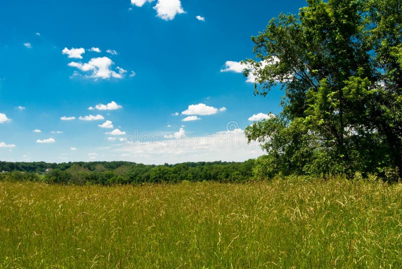 Rural Countryside Wood Bridge Nature Park Canada Springtime Landscape ...