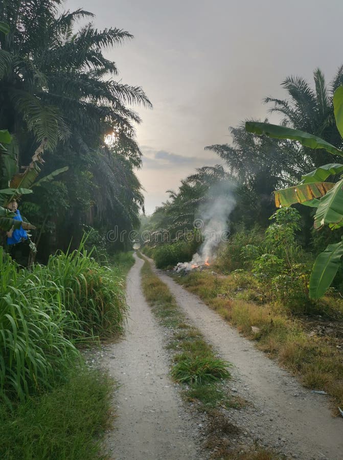 Rural Countryside Scene of Open Burning Along the Roadside Stock Photo ...