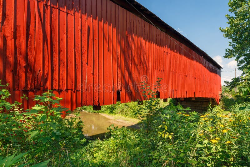 Cstream Logo Stock Photos - Free & Royalty-Free Stock Photos from ...