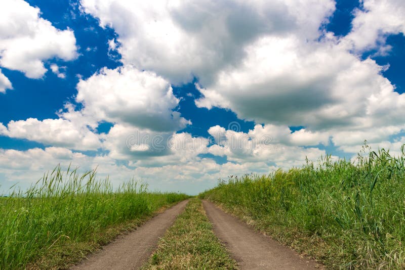 Rural Dirt Road among Farm Fields Stock Photo - Image of growing, green ...