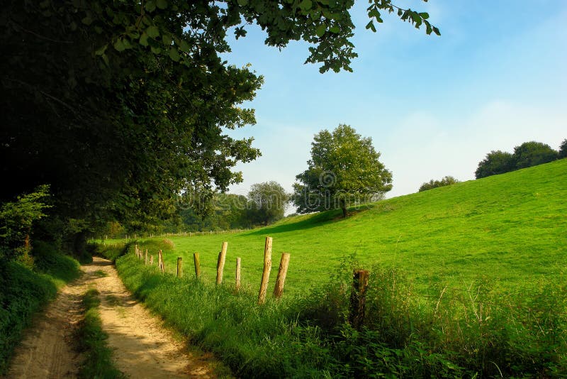 Dirt Track Stretches Towards the Horizon, Nevada, Stock Photo - Image ...