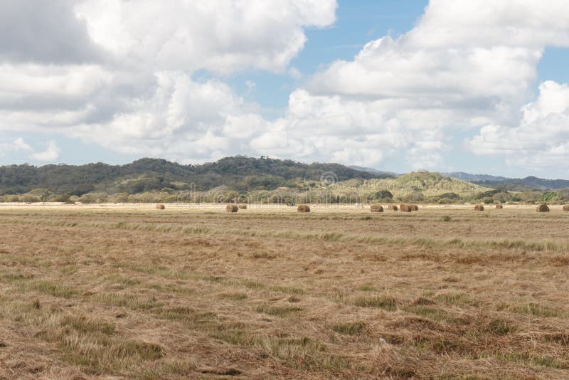 Rural Dried Field View with Clouds in the Sky Stock Image - Image of ...