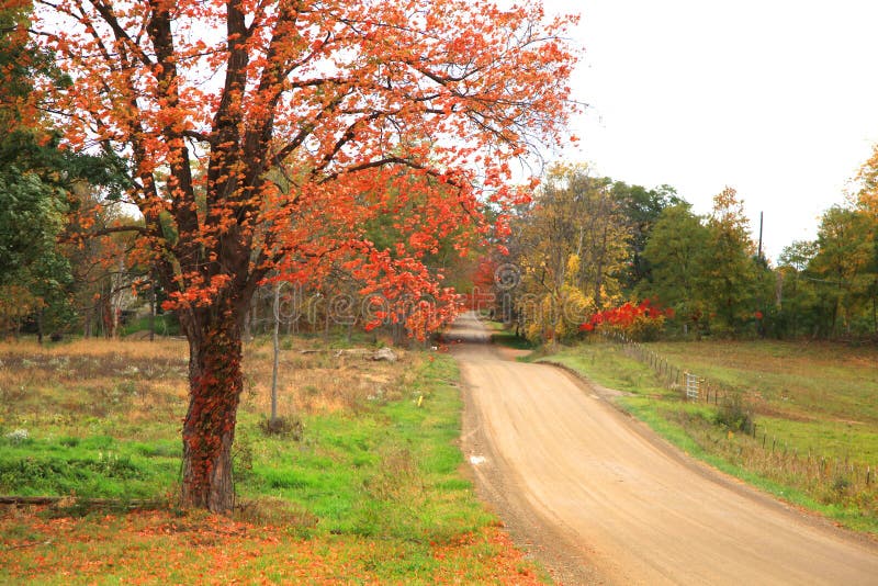 Michigan Autumn Landscape stock image. Image of brown - 6280857