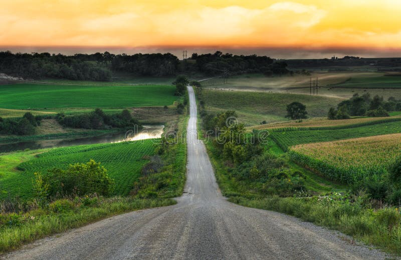 Rural Evening - Center of Road Stock Photo - Image of field ...