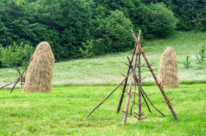 Rural Farm with Haystacks on the Field. One Stack is Empty Stock Image ...