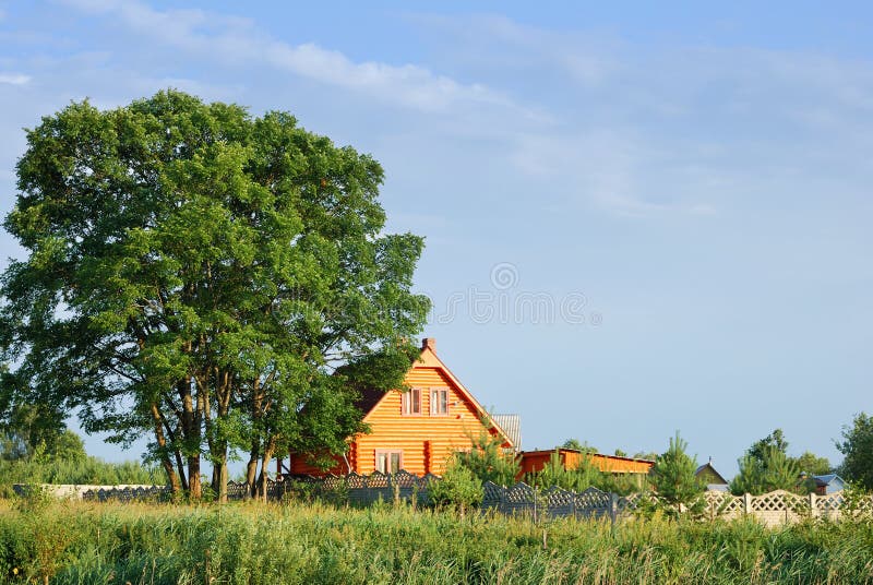 Shearing Sheep in Rural Australia Stock Photo - Image of field, pasture ...