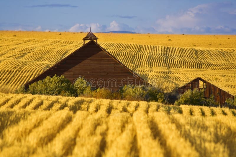 Rural farm stock image. Image of cloud, nature, farm - 171217037